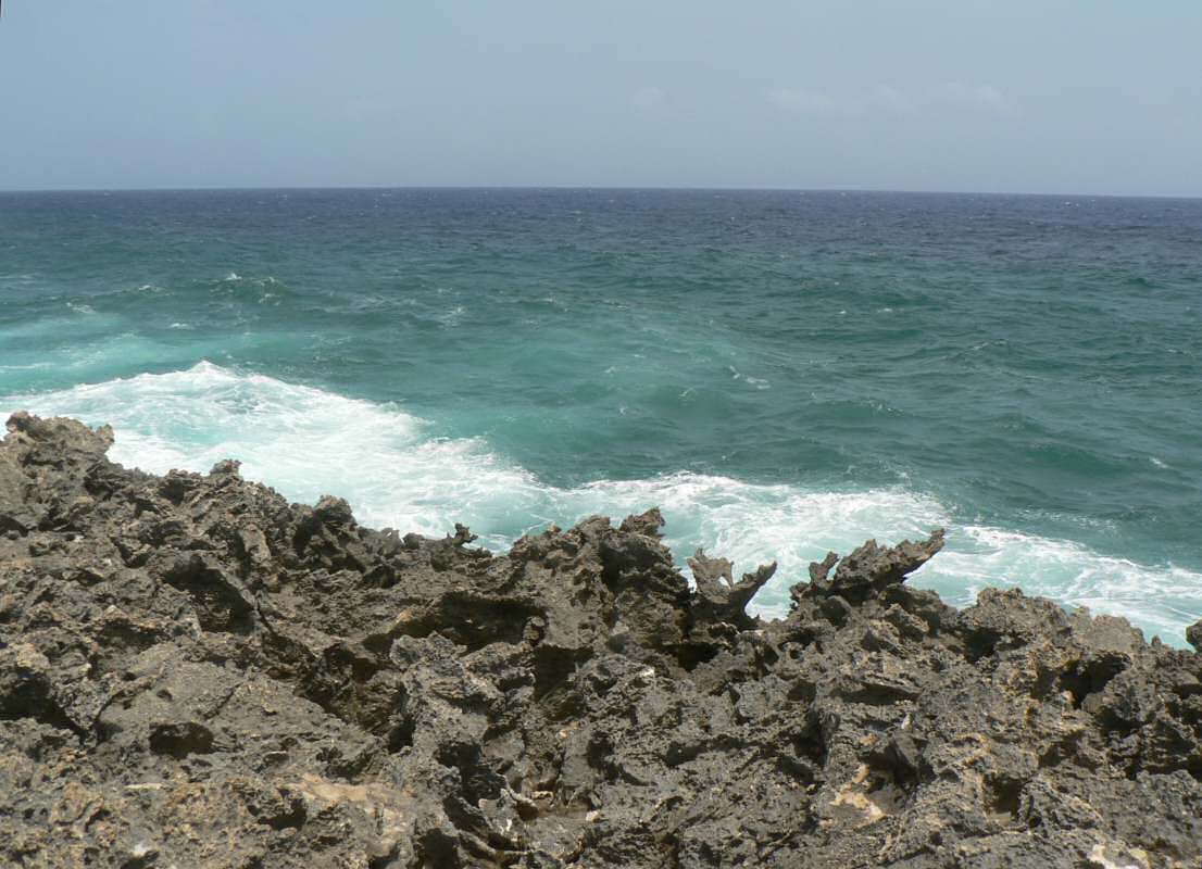 March 24 - May 24, 2006