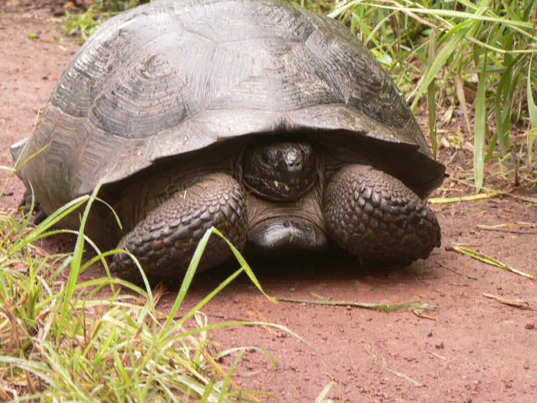 May 24 - July 3, 2006