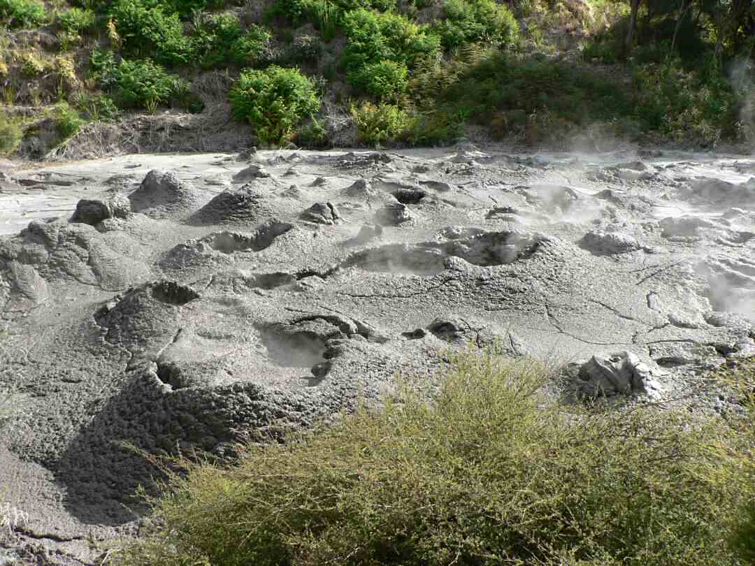 January 1 - March 31, 2007