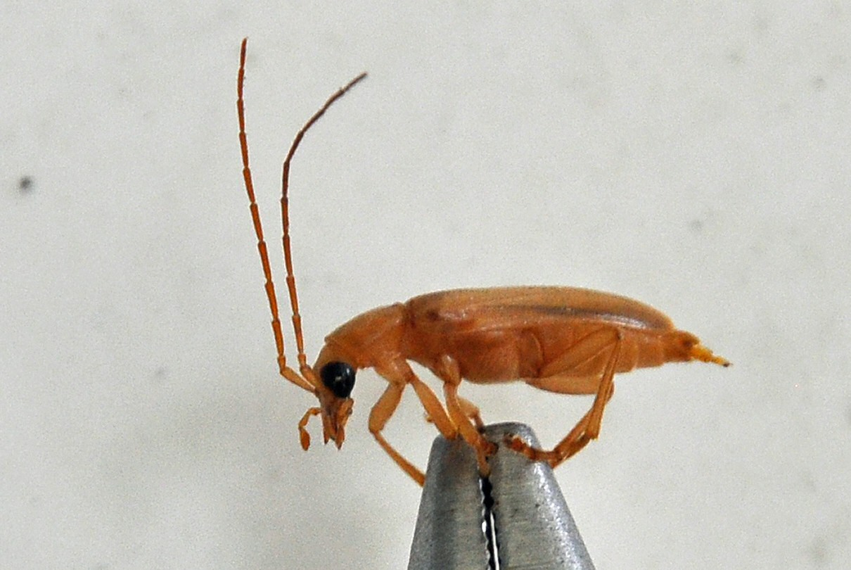 July 1 - July 19, 2010